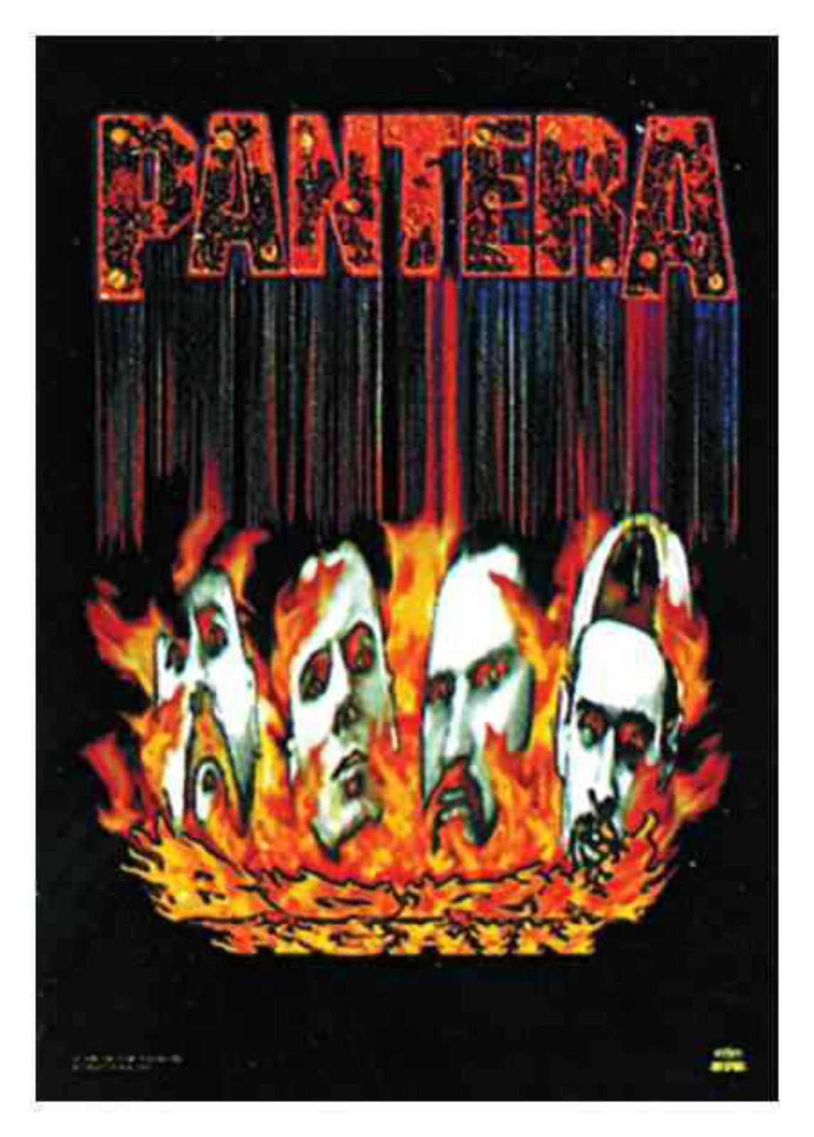 Pantera Born Again Poster Flag - Metal Resurgence at RockMetal.store